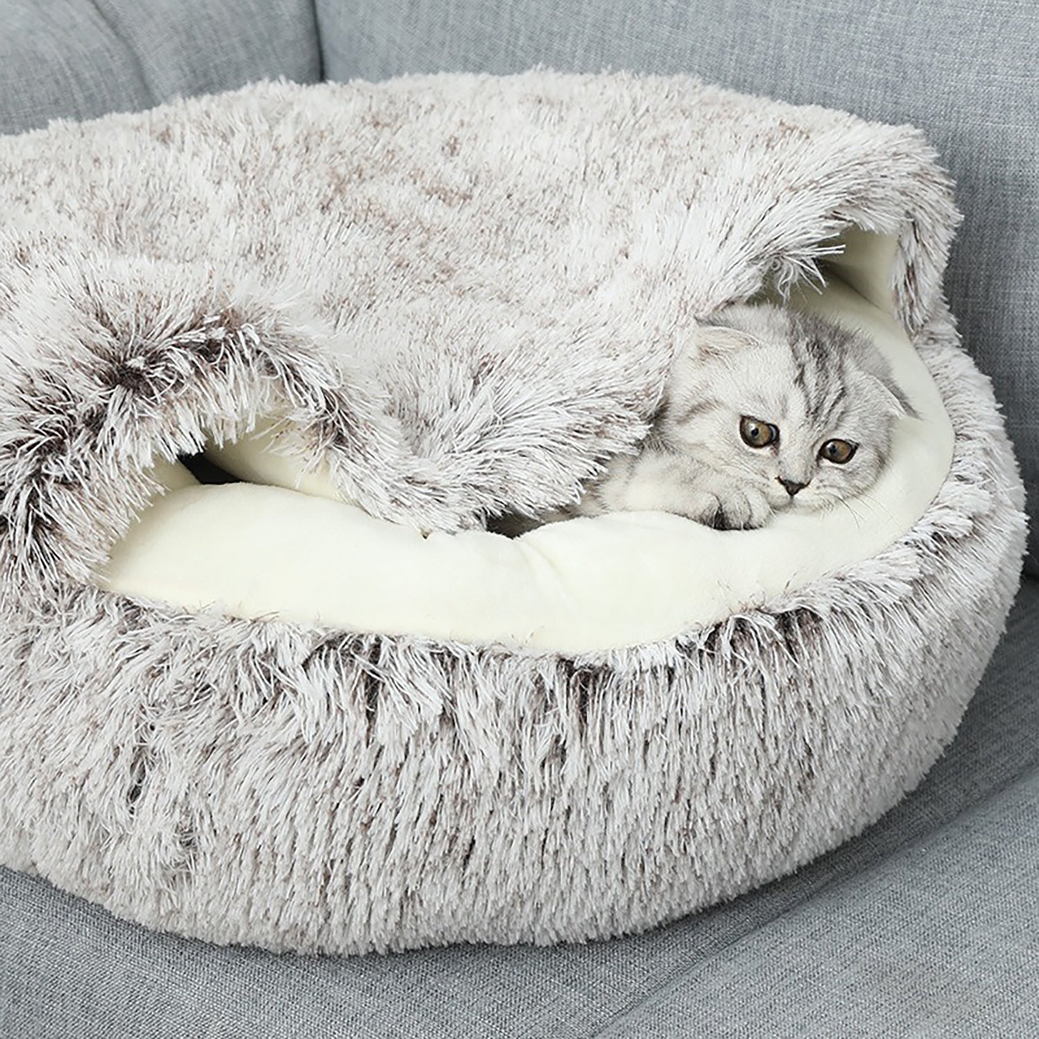 Cat Beds – Prime Deal Dock